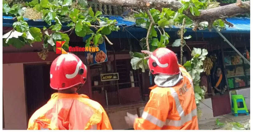 പാലക്കാട് കനത്ത മഴയില്‍ വീടിന് മുകളിലേക്ക് മരം വീണുണ്ടായ അപകടത്തില് ...